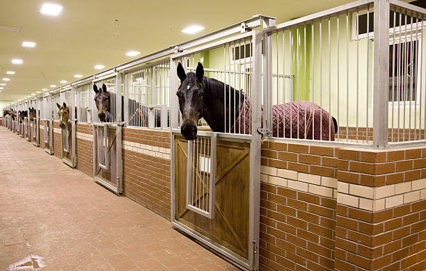 Master Proper Hay Storage - Secure Your Horse’s Health